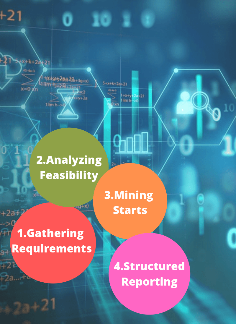 Data Scraping Service - BizProspex