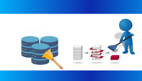 How Can Businesses Best Leverage Data Scrubbing