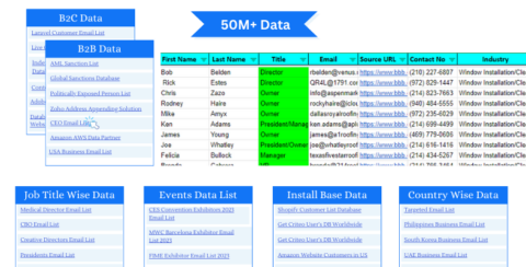 Data Cards - BizProspex