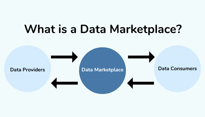 Learn how the data marketplace platforms can propel your business ...